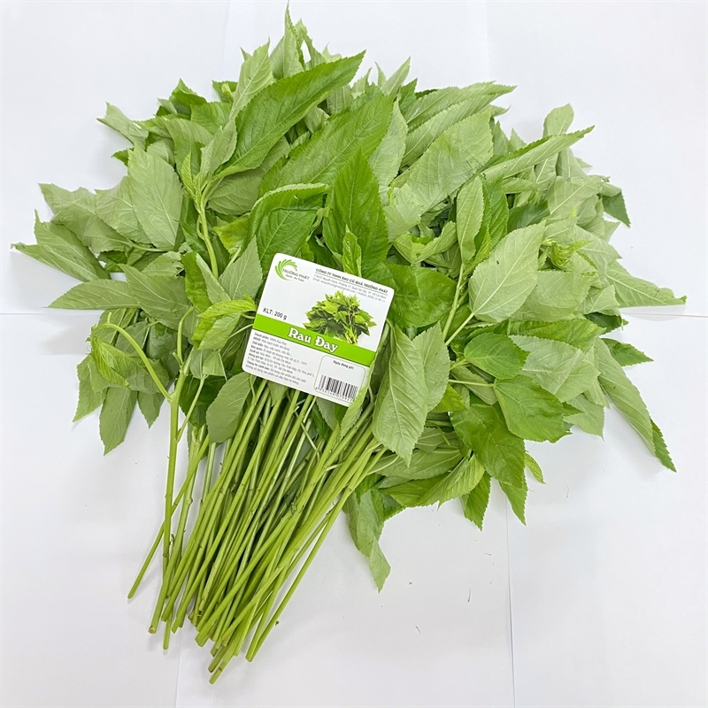 2023_05_23_15_05_57_61.jpg?v=1.13072022